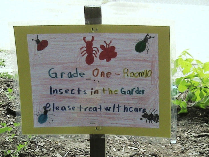 Hilary Inwood, Community Art Projects