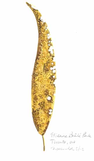 Hilary Inwood, My Artwork | Sculptural books | Nature Photography ...