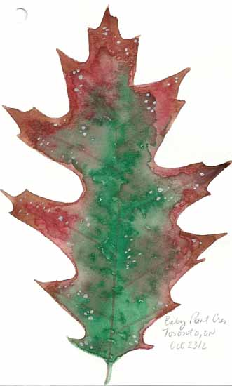 Hilary Inwood, My Artwork | Sculptural books | Nature Photography ...