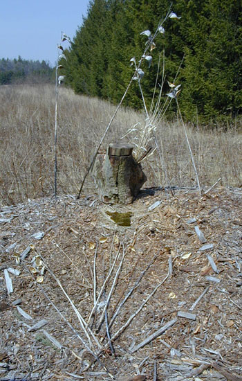 Hilary Inwood, Student Art Projects